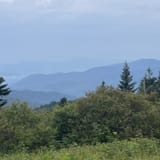 Andrews Bald Trail, North Carolina - 2,641 Reviews, Map | AllTrails