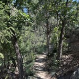 Spruce Canyon Trail, Colorado - 388 Reviews, Map | AllTrails