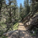 Spruce Canyon Trail, Colorado - 388 Reviews, Map | AllTrails