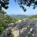 High Rocks Trail, Virginia - 524 Reviews, Map | AllTrails