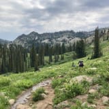 Blue Lake Trail, Idaho - 467 Reviews, Map | AllTrails