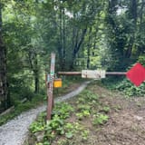 Davidson River Trail to Whaleback Falls, North Carolina - 175 Reviews ...