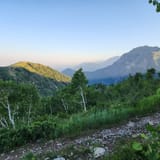 Provo Peak Trail, Utah - 181 Reviews, Map | AllTrails