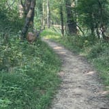 Goose Creek Nature Trail, Kentucky - 659 Reviews, Map | AllTrails