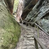 Natural Bridge and Laurel Ridge Trail Loop, Kentucky - 1,956 Reviews ...