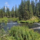 Fall River Loop, Oregon - 524 Reviews, Map | AllTrails