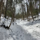 Potato Field and Maple Grove Trail Loop, New York - 352 Reviews, Map ...