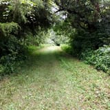 Bloodroot Trail, Indiana - 676 Reviews, Map | AllTrails