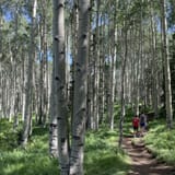 Aspen Nature Loop, Arizona - 2,374 Reviews, Map | AllTrails