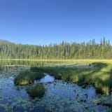 Fish Lake, Montana - 596 Reviews, Map | AllTrails