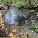 Fish Lake, Montana - 596 Reviews, Map | AllTrails