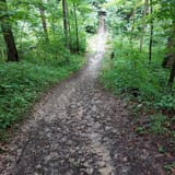 Bloodroot Trail, Indiana - 713 Reviews, Map | AllTrails