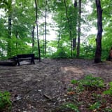 Bloodroot Trail, Indiana - 713 Reviews, Map | AllTrails