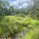 Pudding Pond Loop, New Hampshire - 328 Reviews, Map | AllTrails