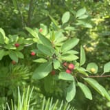 Pudding Pond Loop, New Hampshire - 349 Reviews, Map | AllTrails