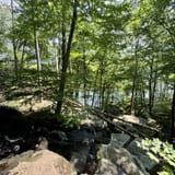Zoar Trail, Connecticut - 2,375 Reviews, Map | AllTrails