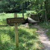 Seneca Creek Trail, West Virginia - 331 Reviews, Map | AllTrails