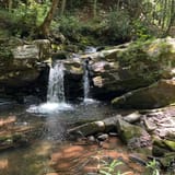 Seneca Creek Trail, West Virginia - 338 Reviews, Map | AllTrails