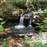 Seneca Creek Trail, West Virginia - 318 Reviews, Map | AllTrails