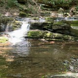 Seneca Creek Trail, West Virginia - 331 Reviews, Map | AllTrails
