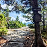 Wheeler Mountain Trail, Vermont - 408 Reviews, Map | AllTrails