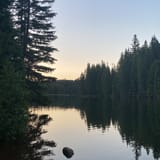 Timothy Lake Loop, Oregon - 290 Reviews, Map | AllTrails