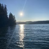 Timothy Lake Loop, Oregon - 290 Reviews, Map | AllTrails