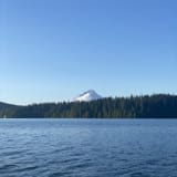 Timothy Lake Loop, Oregon - 290 Reviews, Map | AllTrails