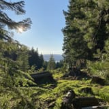 Timothy Lake Loop, Oregon - 290 Reviews, Map | AllTrails