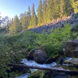 Timothy Lake Loop, Oregon - 290 Reviews, Map | AllTrails
