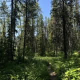 Oxbow Trail, Montana - 244 Reviews, Map | AllTrails