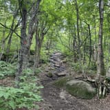 Mount Arab Trail, New York - 2,418 Reviews, Map | AllTrails