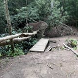 Long Branch Loop Trail, Georgia - 2,368 Reviews, Map | AllTrails