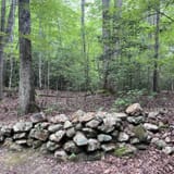 Long Branch Loop Trail, Georgia - 2,375 Reviews, Map | AllTrails