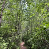 Long Branch Loop Trail, Georgia - 2,375 Reviews, Map | AllTrails