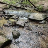 Long Branch Loop Trail, Georgia - 2,375 Reviews, Map | AllTrails