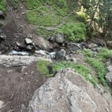 Treasure Falls Trail, Colorado - 1,441 Reviews, Map | AllTrails