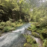 Greer Spring Trail, Missouri - 338 Reviews, Map | AllTrails