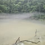 Round Spring Trail, Missouri - 96 Reviews, Map | AllTrails