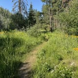 Government Springs 95A, Arizona - 653 Reviews, Map | AllTrails