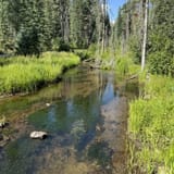 Government Springs 95A, Arizona - 651 Reviews, Map | AllTrails