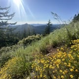 Cone Peak Trail, Oregon - 804 Reviews, Map | AllTrails