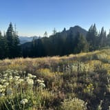 Cone Peak Trail, Oregon - 804 Reviews, Map | AllTrails