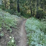 Cone Peak Trail, Oregon - 804 Reviews, Map | AllTrails