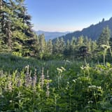 Cone Peak Trail, Oregon - 804 Reviews, Map | AllTrails