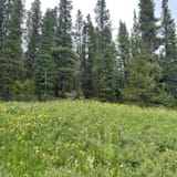 Boreas Pass Road, Colorado - 549 Reviews, Map | AllTrails