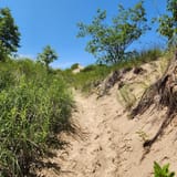 Warren Dunes Trail, Michigan - 1,404 Reviews, Map | AllTrails