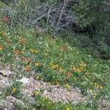 Grizzly Peak Trail, Alberta, Canada - 1,390 Reviews, Map | AllTrails