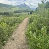 Lower Loop Trail, Colorado - 1,178 Reviews, Map | AllTrails