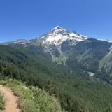 McNeil Point Trail, Oregon - 2,968 Reviews, Map | AllTrails